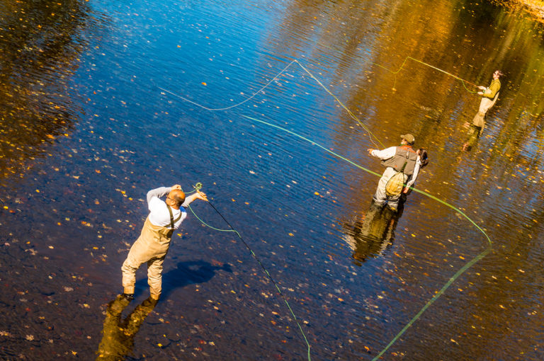 Maximizing Planogram Generator, or “Learning to Fish” - Plantensive